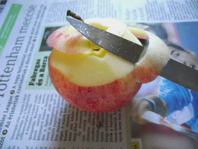 Reszelt alma eltevése - cukor nélkül nedves dunsztolással - Háztartás Ma